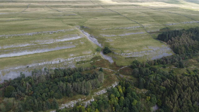 Estate – Discover – Scargill